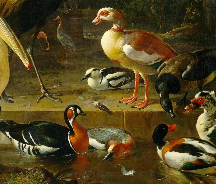 Famous Bird Paintings: Meaning, History & Famous Artists